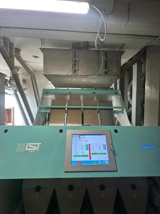 Colour Sorter Italian Visit Terms & Conditions | Perry of Oakley